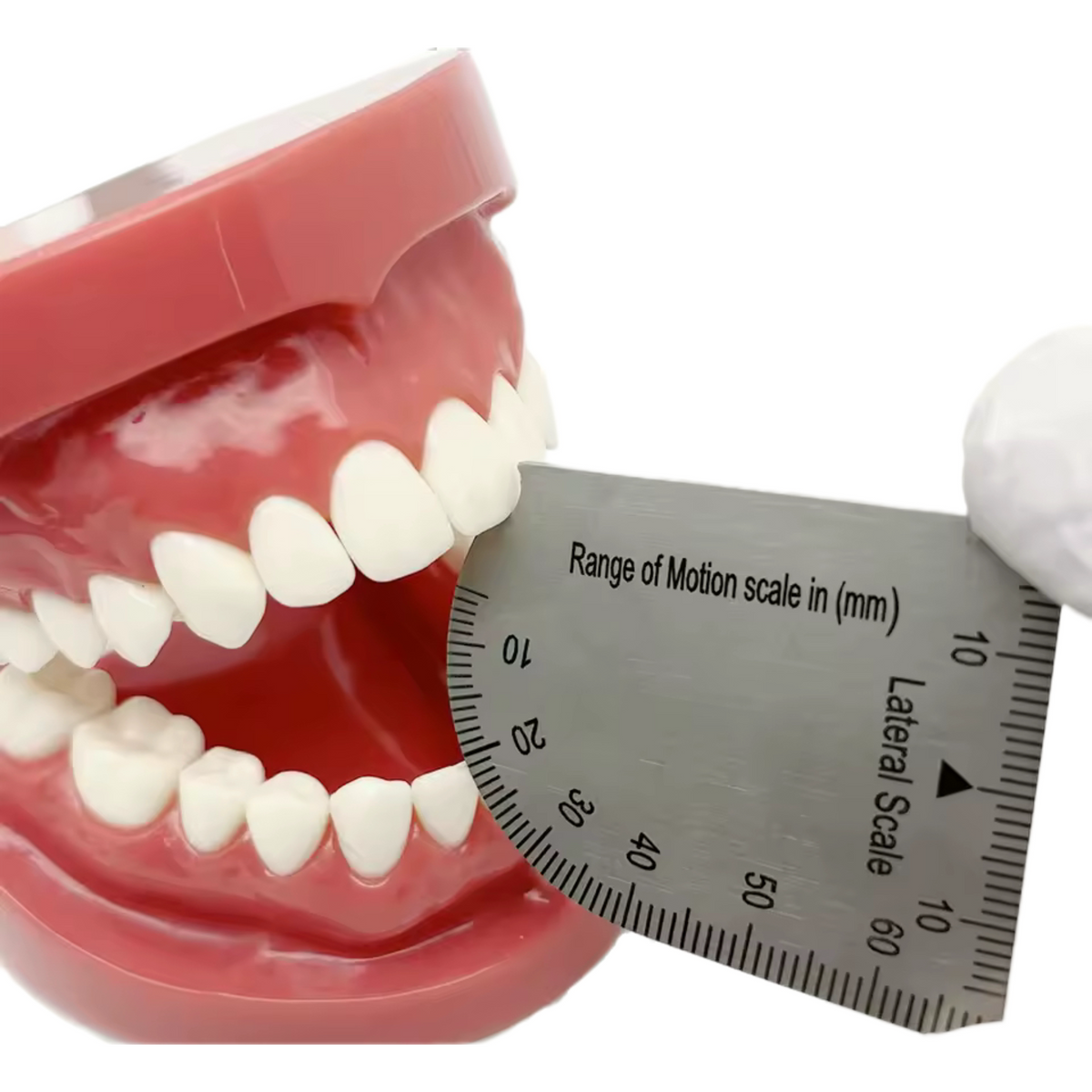 RANGE OF MOTION SCALE MEASURE – Leemark Dental